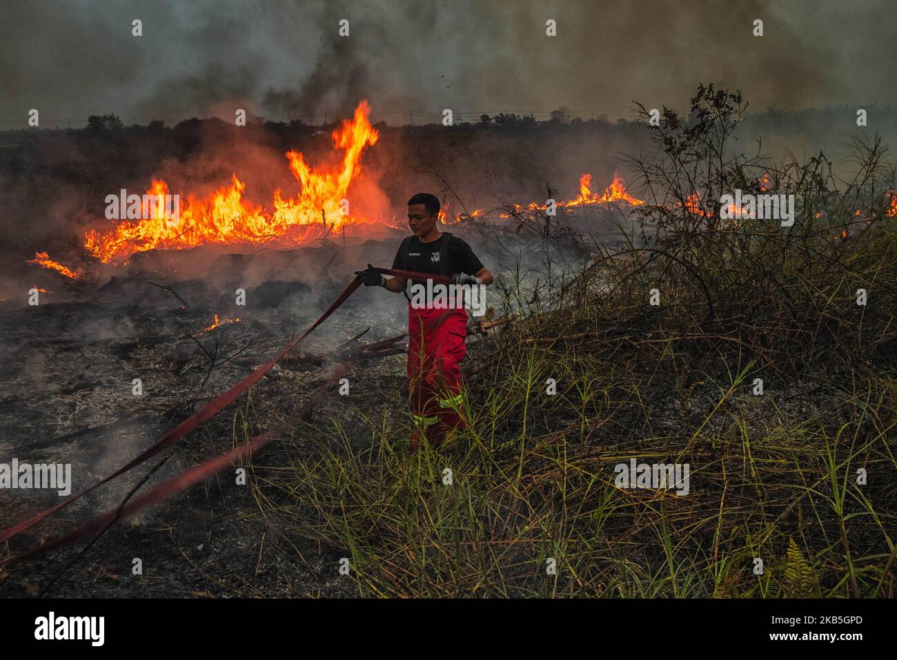 An Indonesian firefighter tries to extinguish peatland fire at Tanah ...