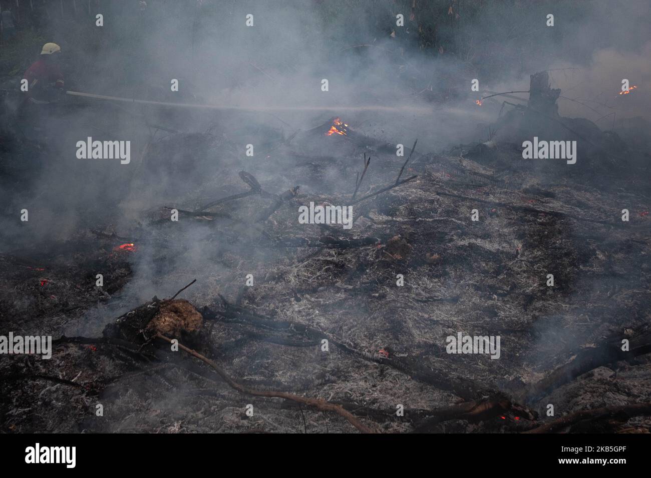 An Indonesian firefighter tries to extinguish peatland fire at Tanah ...