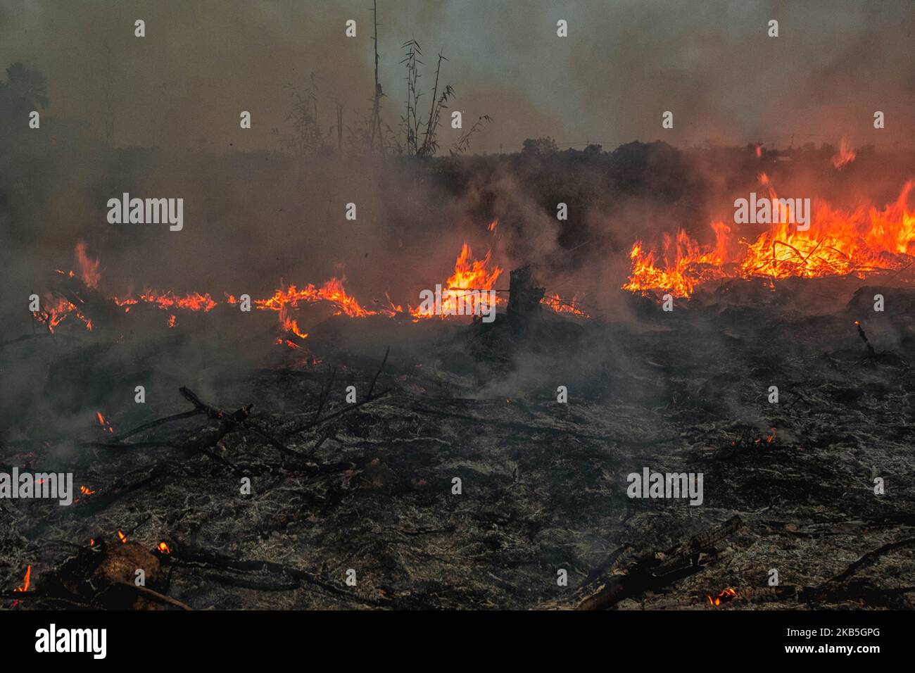 An Indonesian firefighter tries to extinguish peatland fire at Tanah ...
