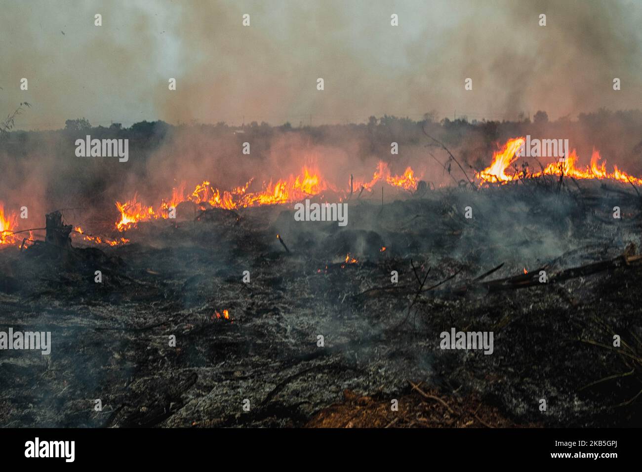 An Indonesian firefighter tries to extinguish peatland fire at Tanah ...