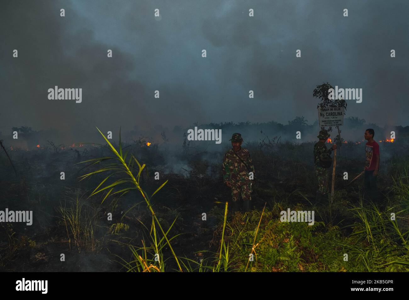 An Indonesian firefighter tries to extinguish peatland fire at Tanah ...