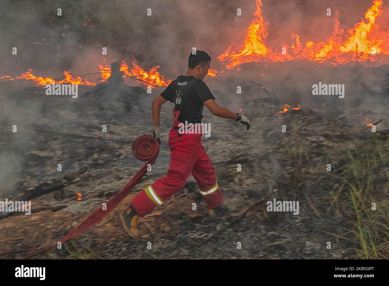 An Indonesian firefighter tries to extinguish peatland fire at Tanah ...