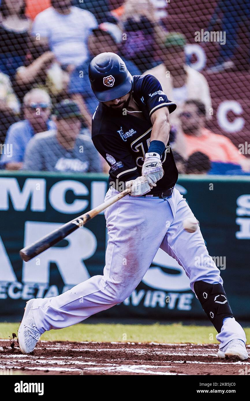 Brian Hernandez of Tigres de Quintana Roo #14 hits against of Diablos ...