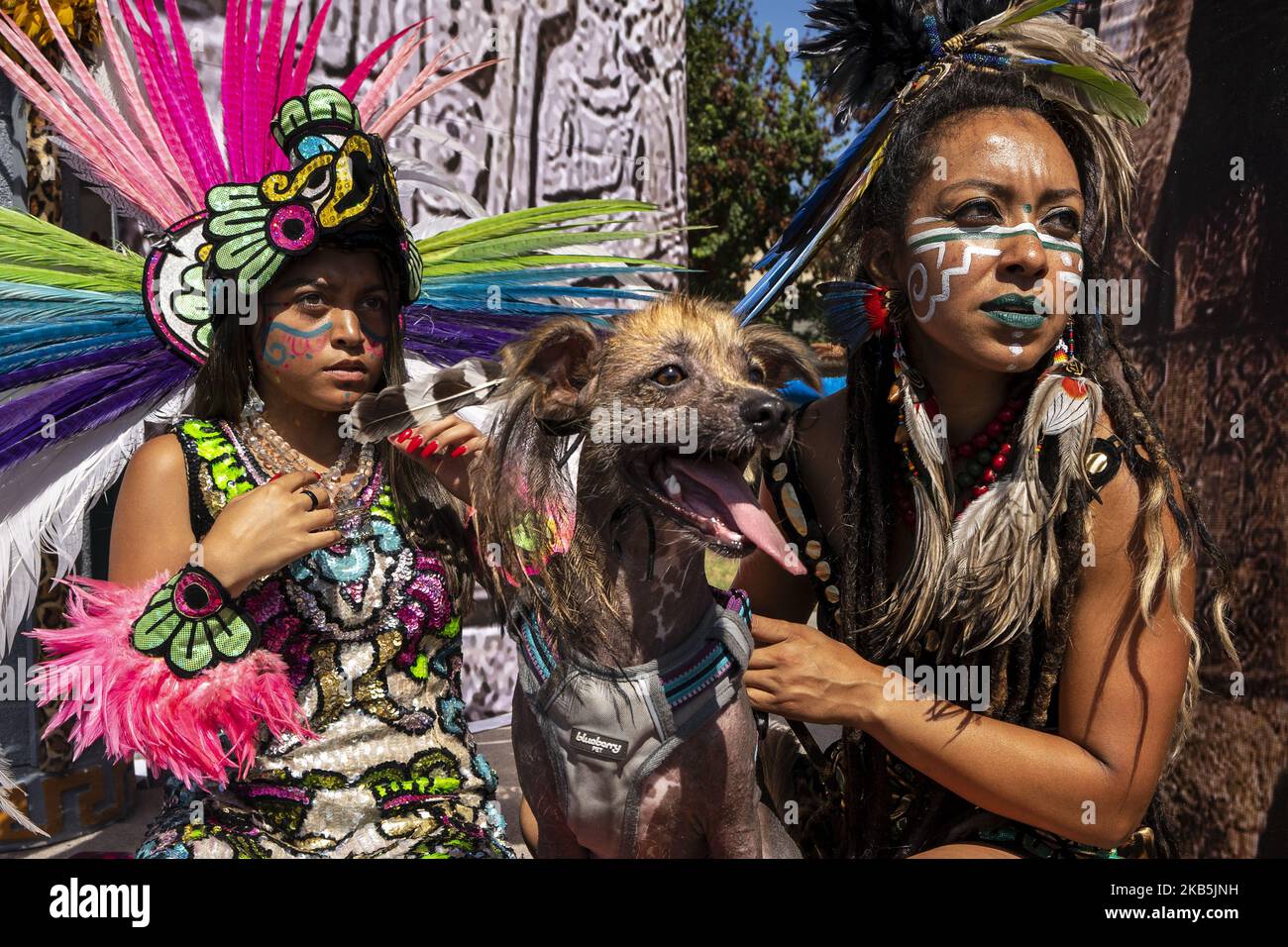 Float parade mexico hi-res stock photography and images - Alamy