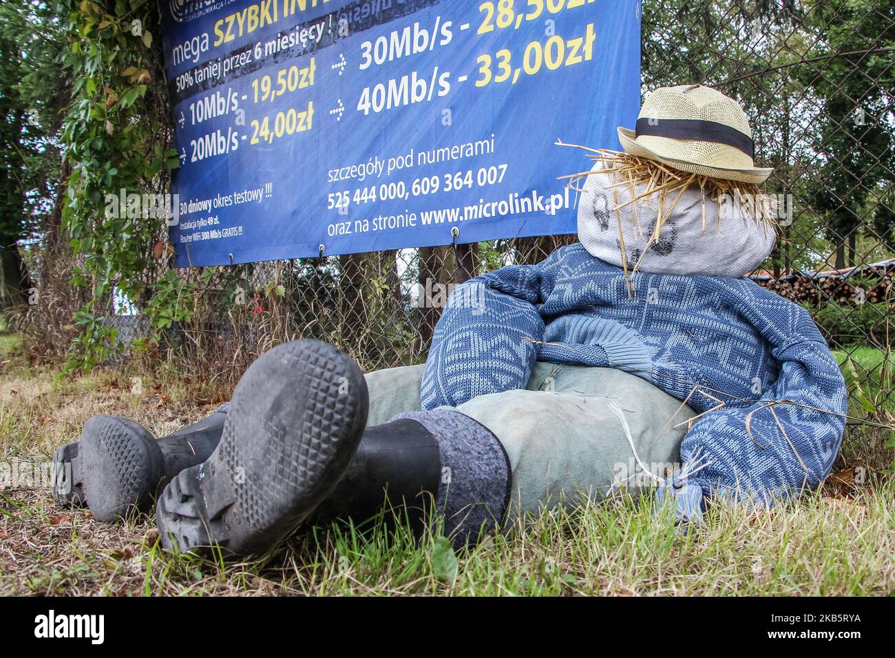Straw installations in the shape of drunk farmer lying under the fence ...