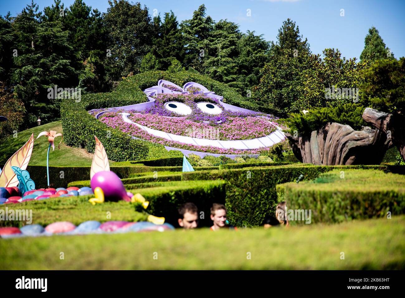 Alice's curious labyrinth hi-res stock photography and images - Alamy