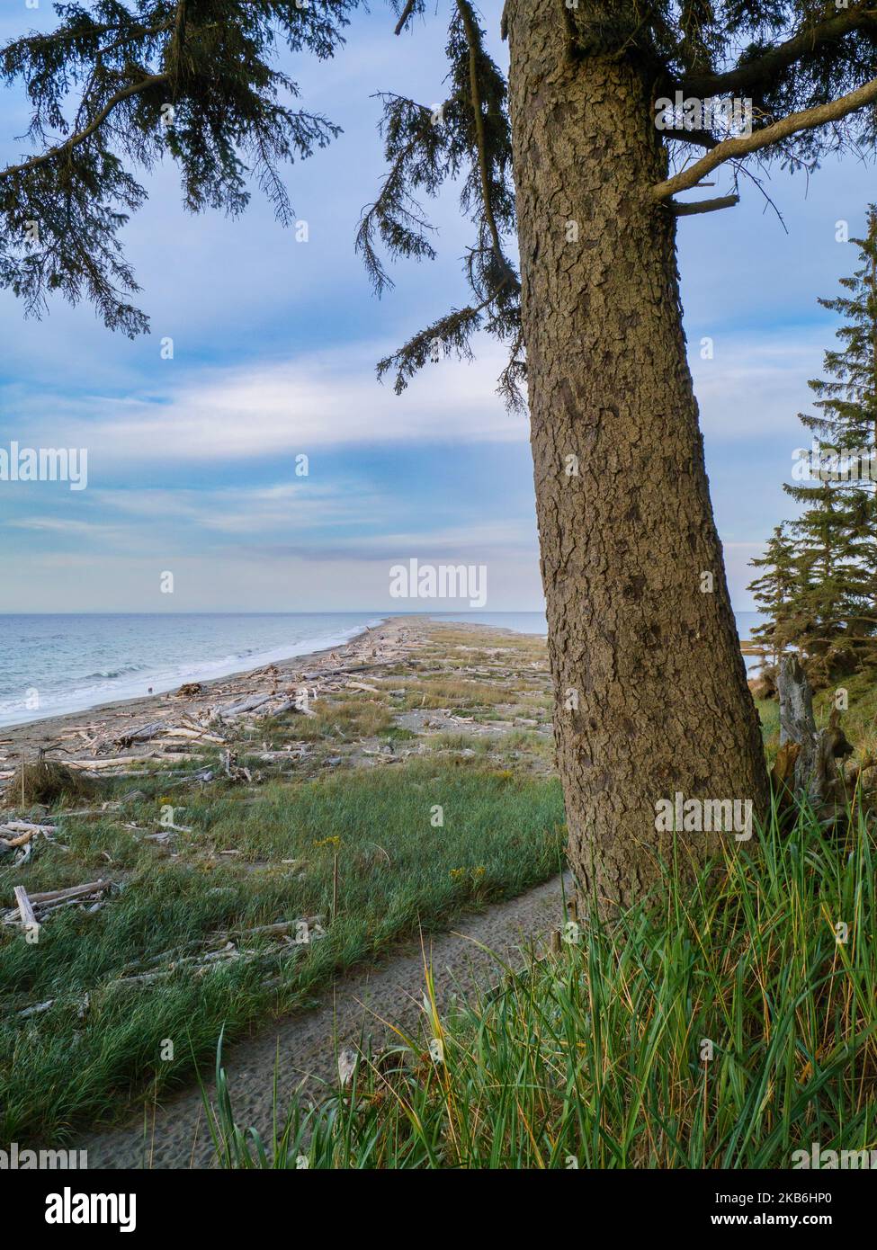 Dungeness Spit, Dungeness National Wildlife Refuge, Washington, USA ...