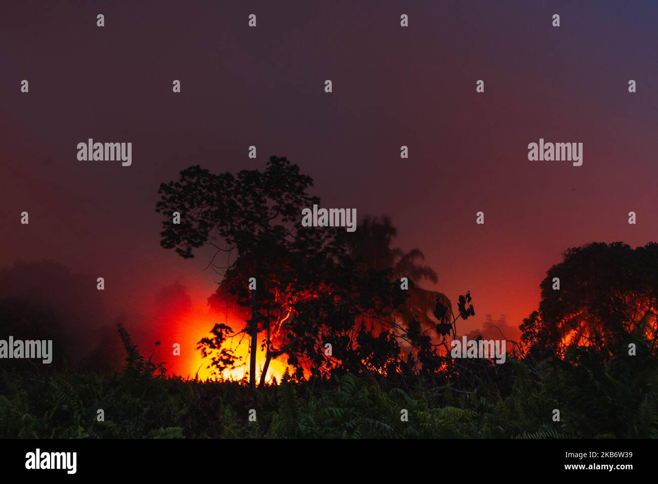 A fire burns peatland and forest in Pekanbaru, Riau Province, Indonesia ...