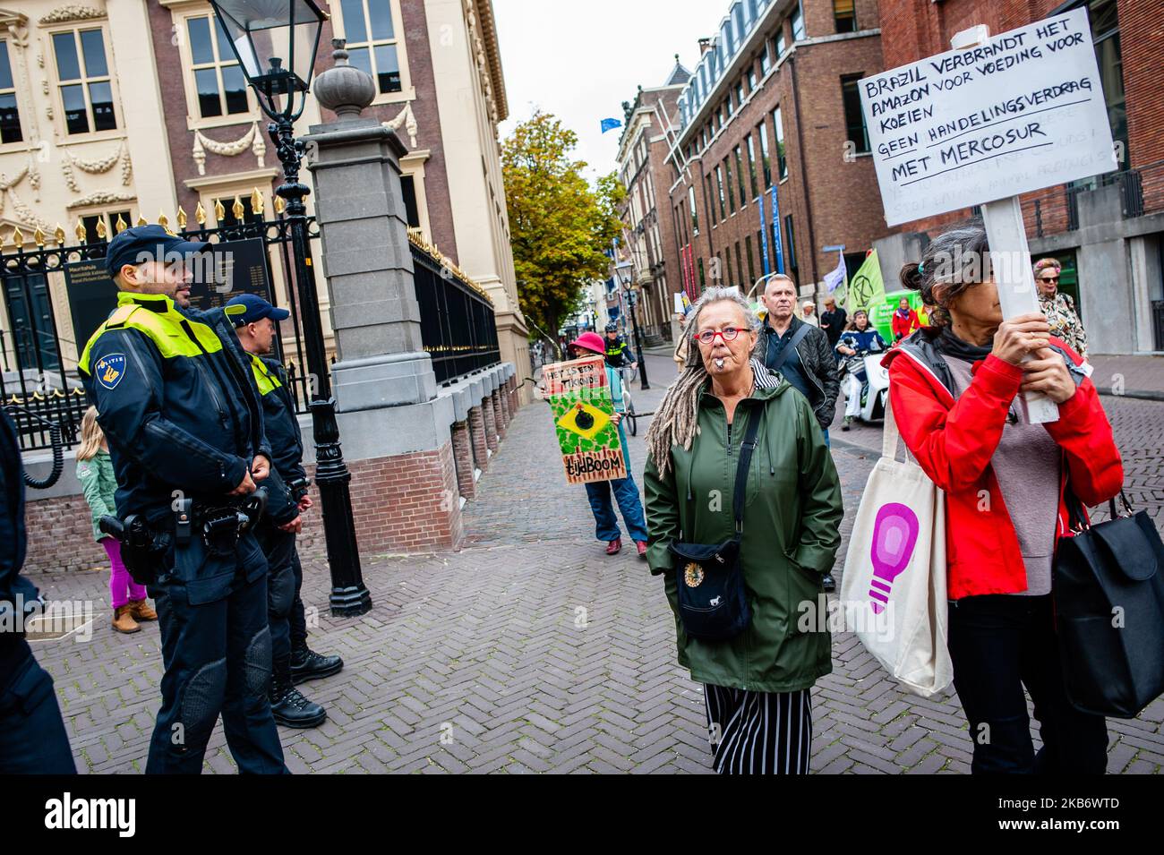 After Arnhem-based artist, Rob Voerman opened a petition to save the Amazon and to stop ...