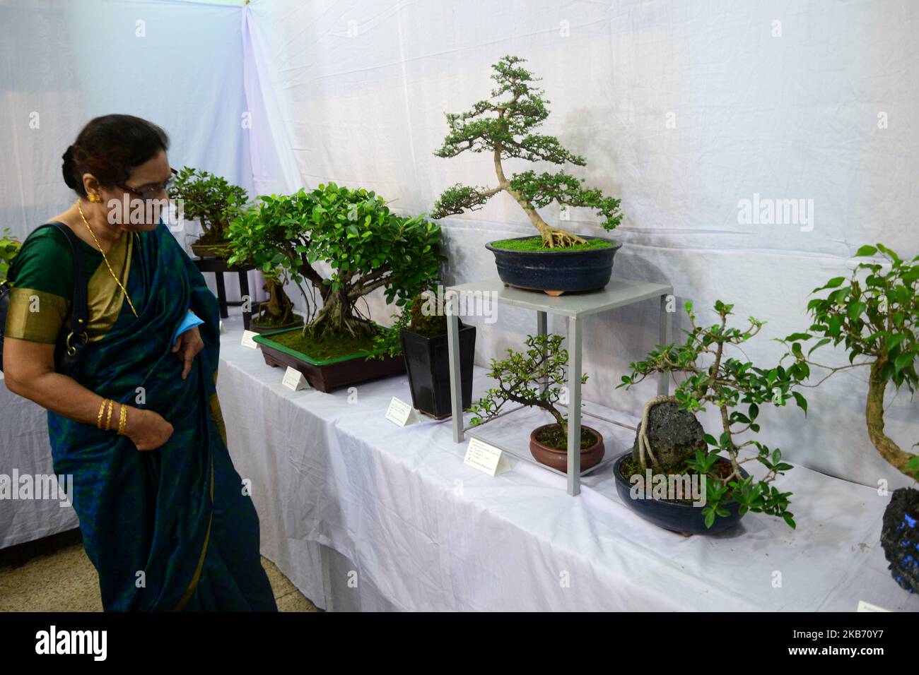 Bangladeshi Visitors in the miniature tree (Bansai tree) exhibition in ...