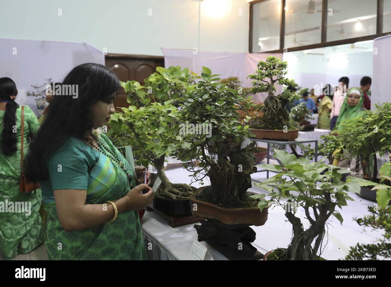 Bangladeshi Visitors in the miniature tree (Bansai tree) exhibition in ...