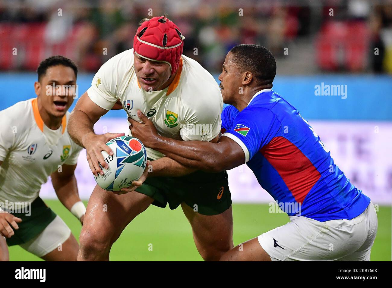 Springbok rugby action hi-res stock photography and images - Alamy