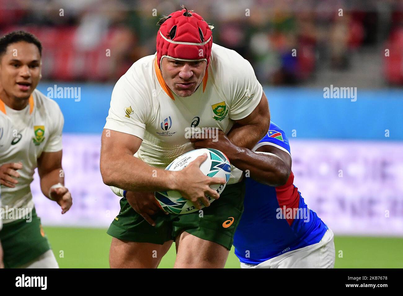Springbok rugby action hi-res stock photography and images - Alamy