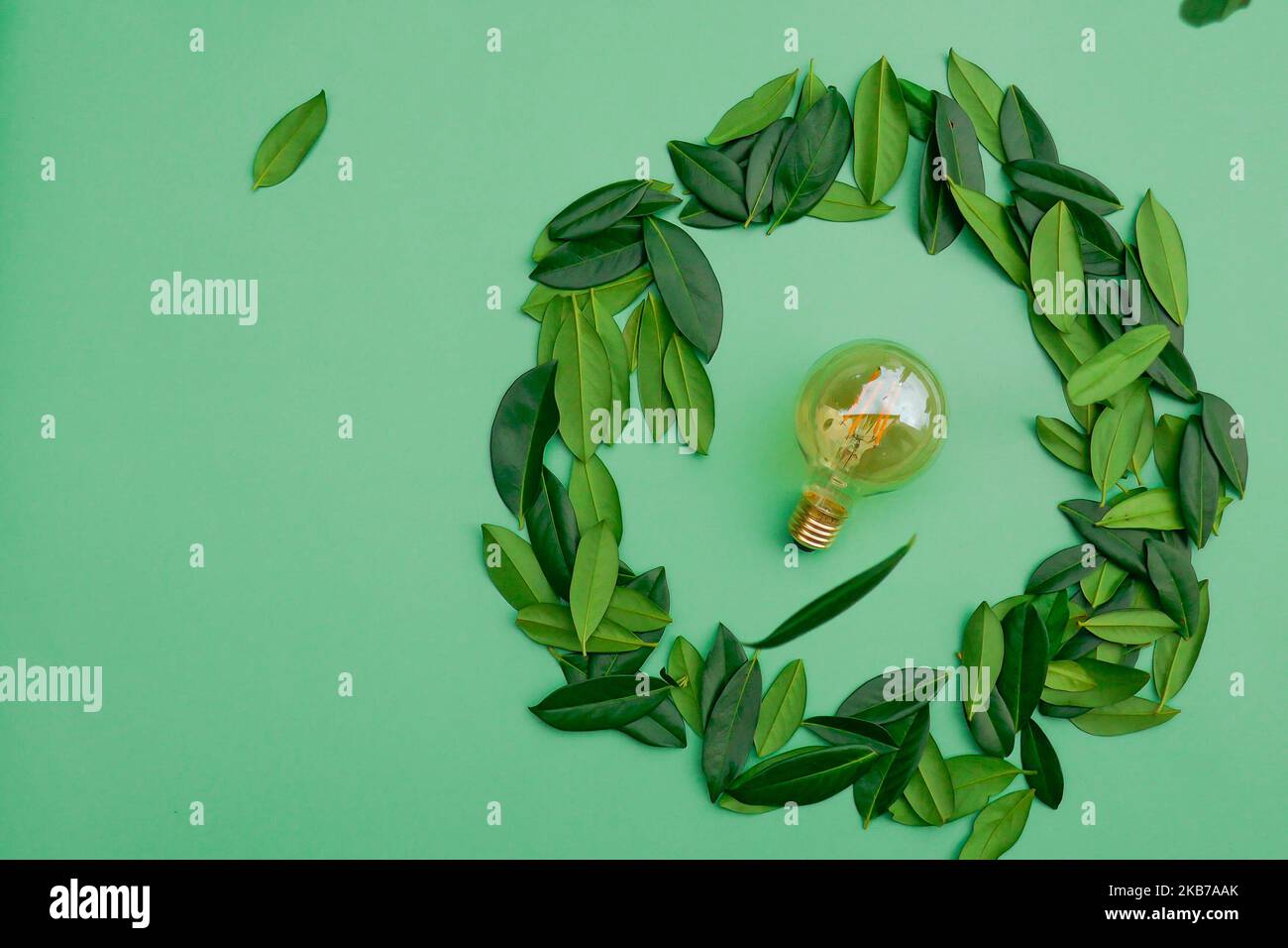 light bulb and green flying leaves on a green background.renewable ...