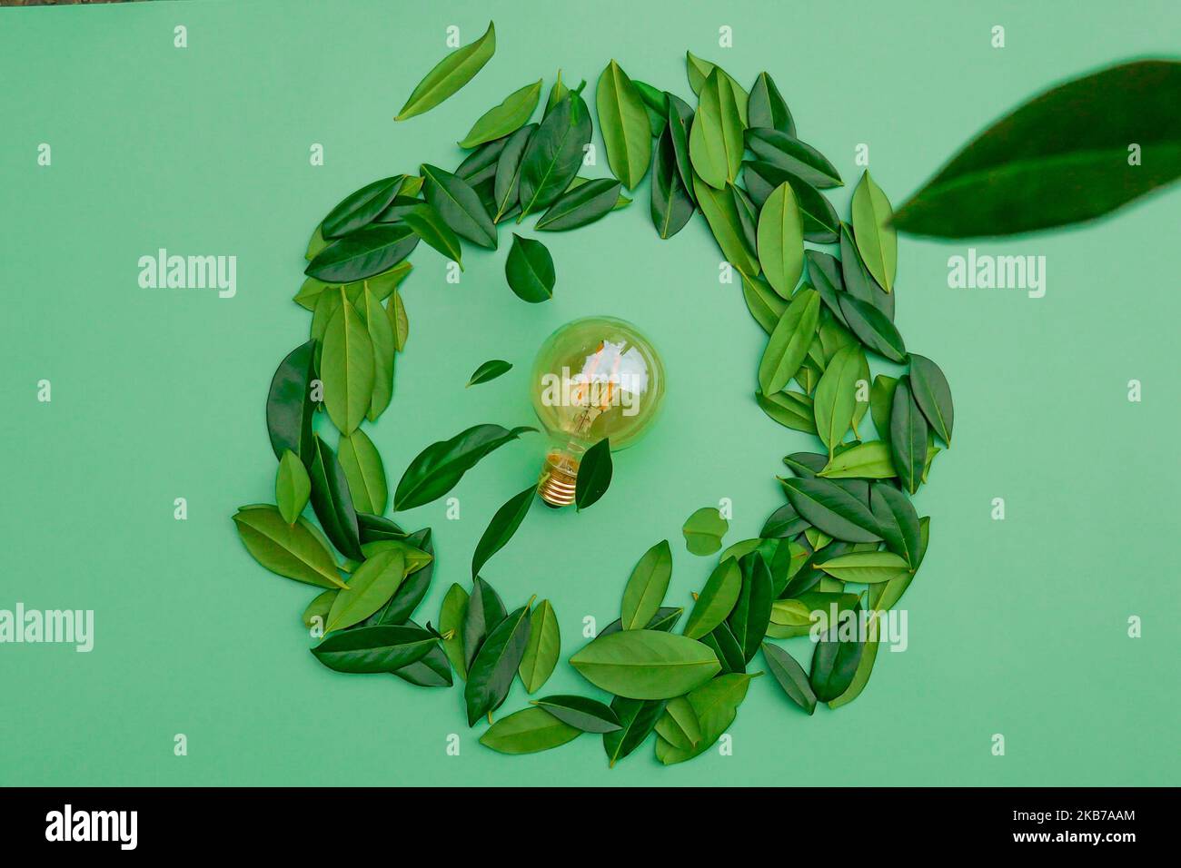 Electric light bulb and green flying leaves on a green background ...