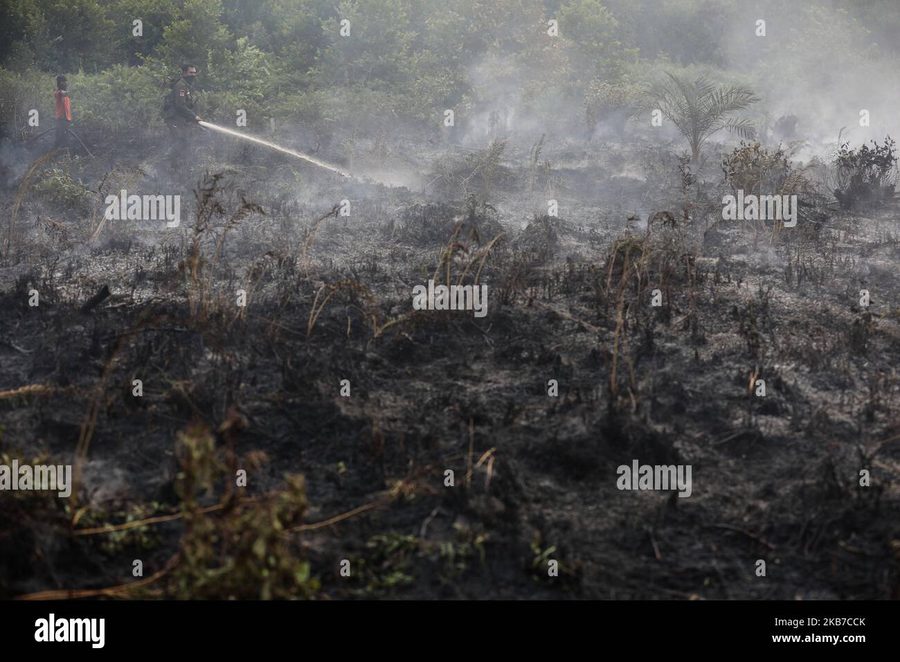 Borneo kalimantan fire hi-res stock photography and images - Alamy
