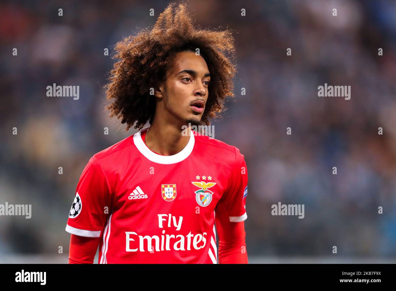 The tavares group hi-res stock photography and images - Alamy