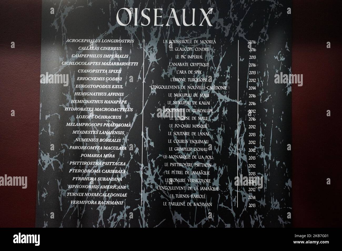 A list of extinct birds during years 2012-2016. The Museum of Natural ...