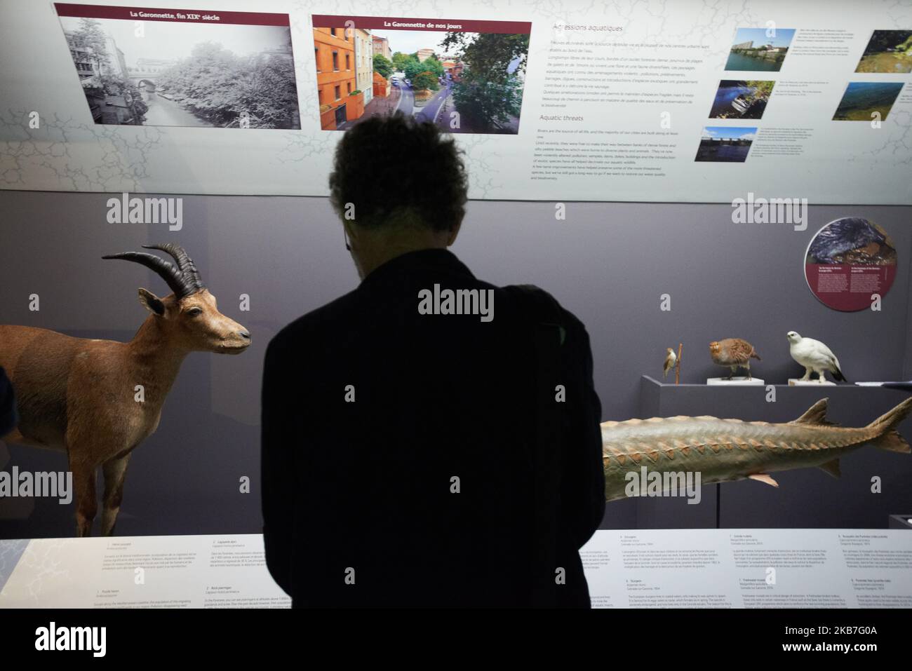 A visitor during the exhibition. The Museum of Natural History of ...