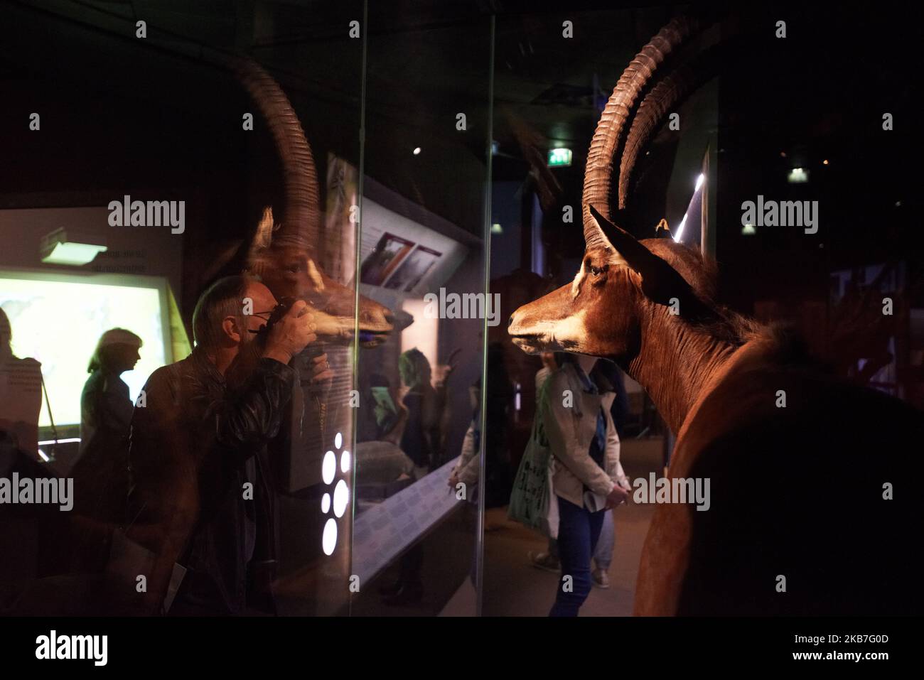 The Museum of Natural History of Toulouse in cooperation with the ...