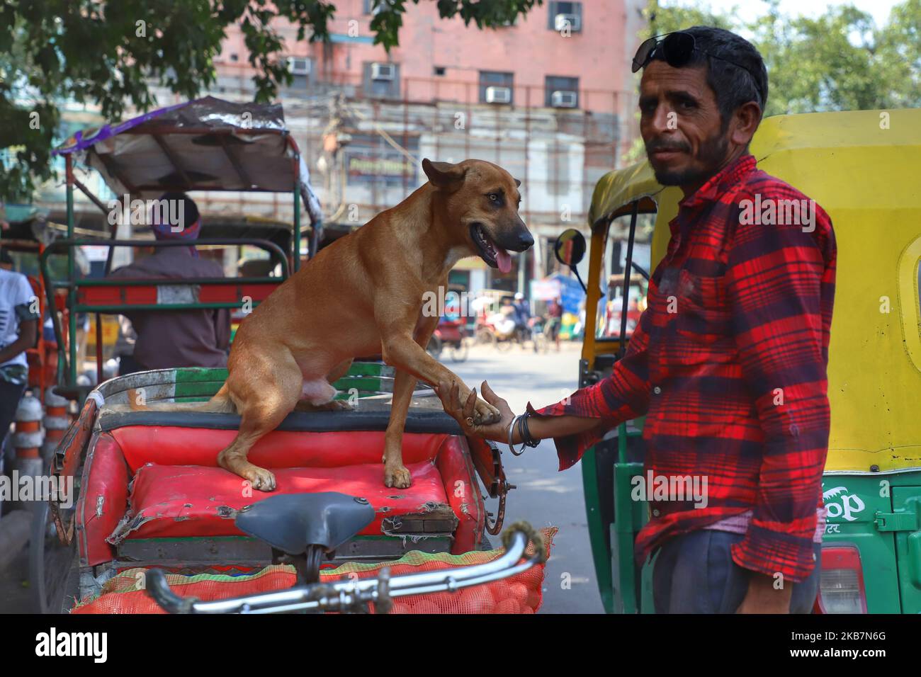 A rickshaw puller playing with his dog in the old Quarters of Delhi ...
