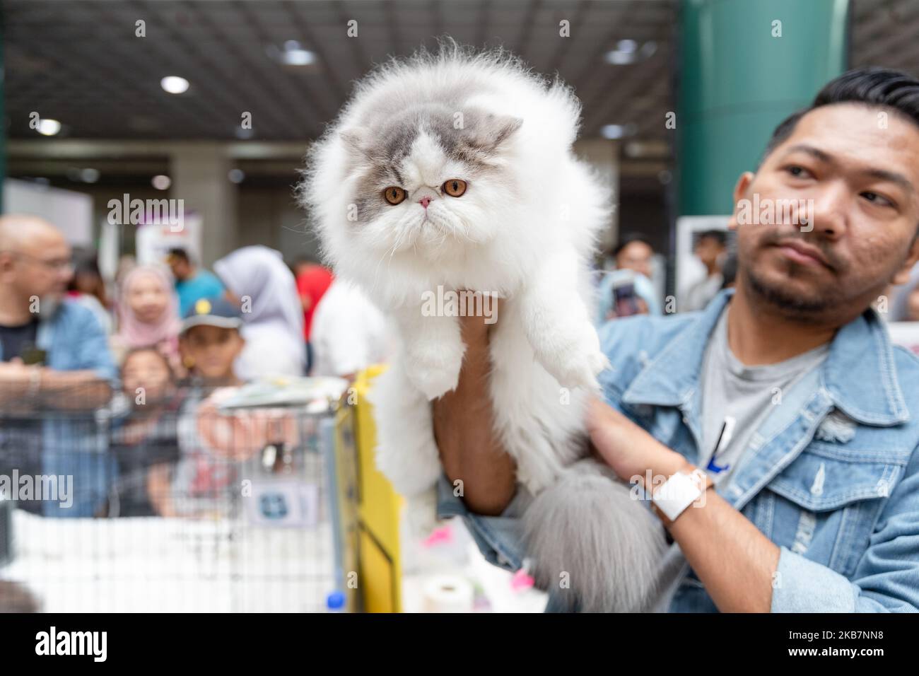 An owner poses with his Persian cat during a Ekspo Kucing Cat Show at ...