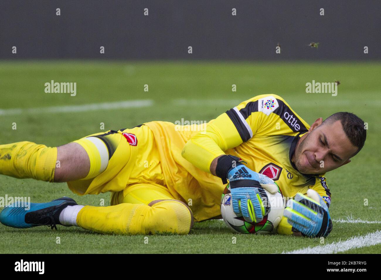 Estadio nemesio camacho hi-res stock photography and images - Alamy