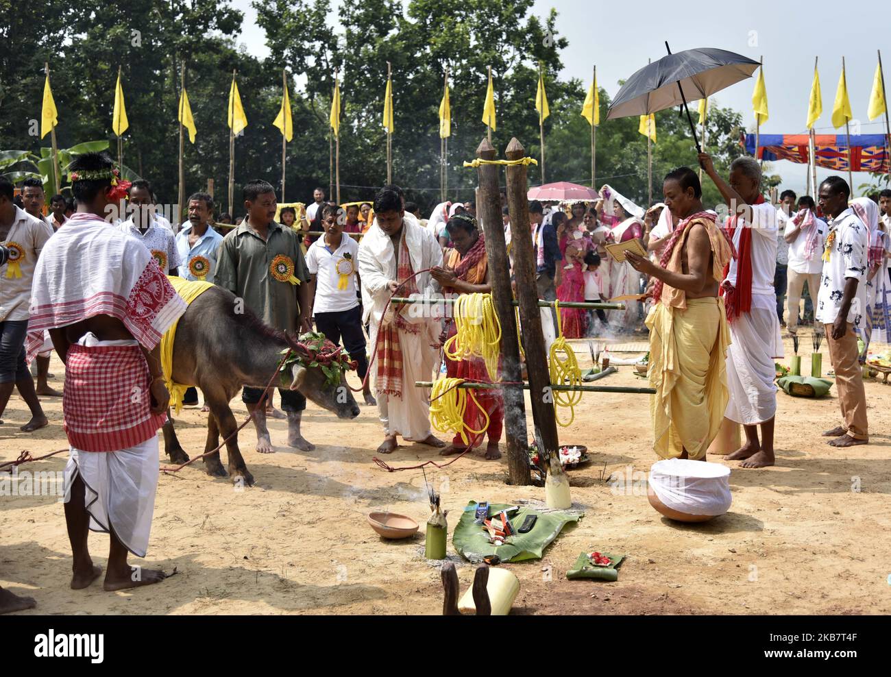 Priest performs rituals before a buffalo sacrifice at the Buri Goshani ...