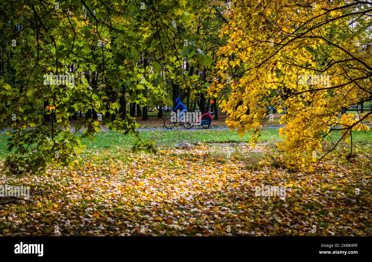Autumn in Poland. 11 October, 2019, Warsaw, Poland (Photo by Krystian ...