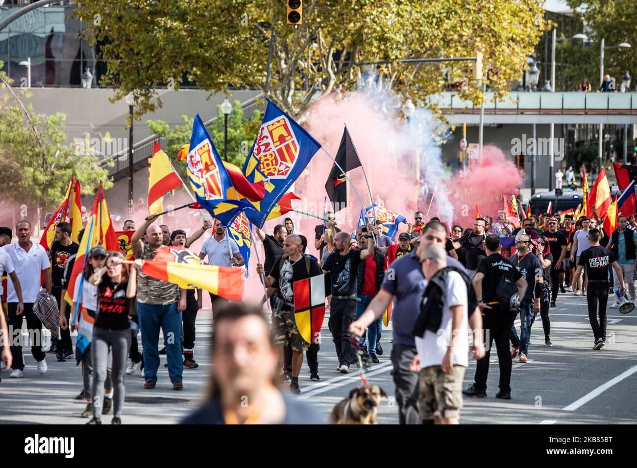 Spanish fascist during a demonstrate in Barcelona in favour of Spanish ...
