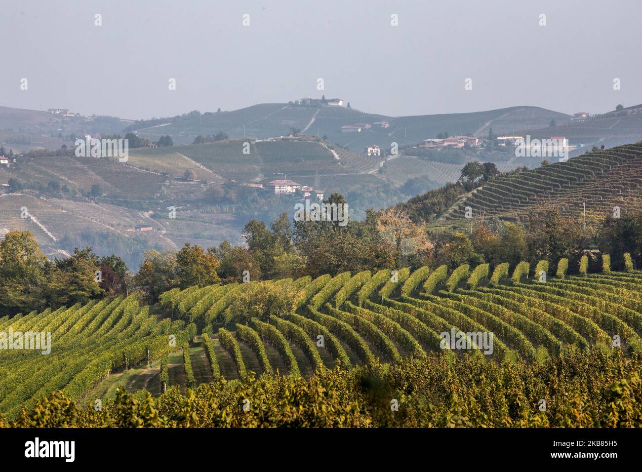 Wine fields barolo hi-res stock photography and images - Alamy