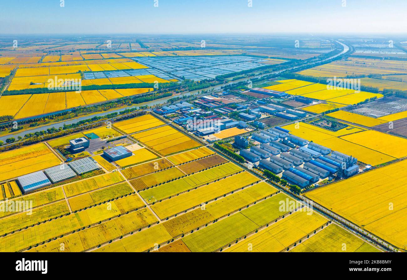 SUQIAN, CHINA - NOVEMBER 2, 2022 - Aerial photo shows rows of brand-new ...