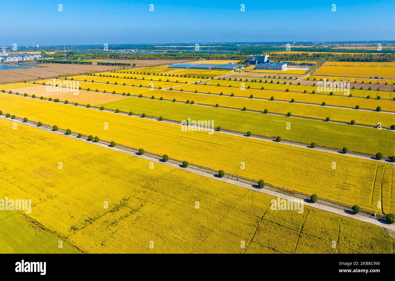 SUQIAN, CHINA - NOVEMBER 2, 2022 - Aerial photo shows rows of brand-new ...