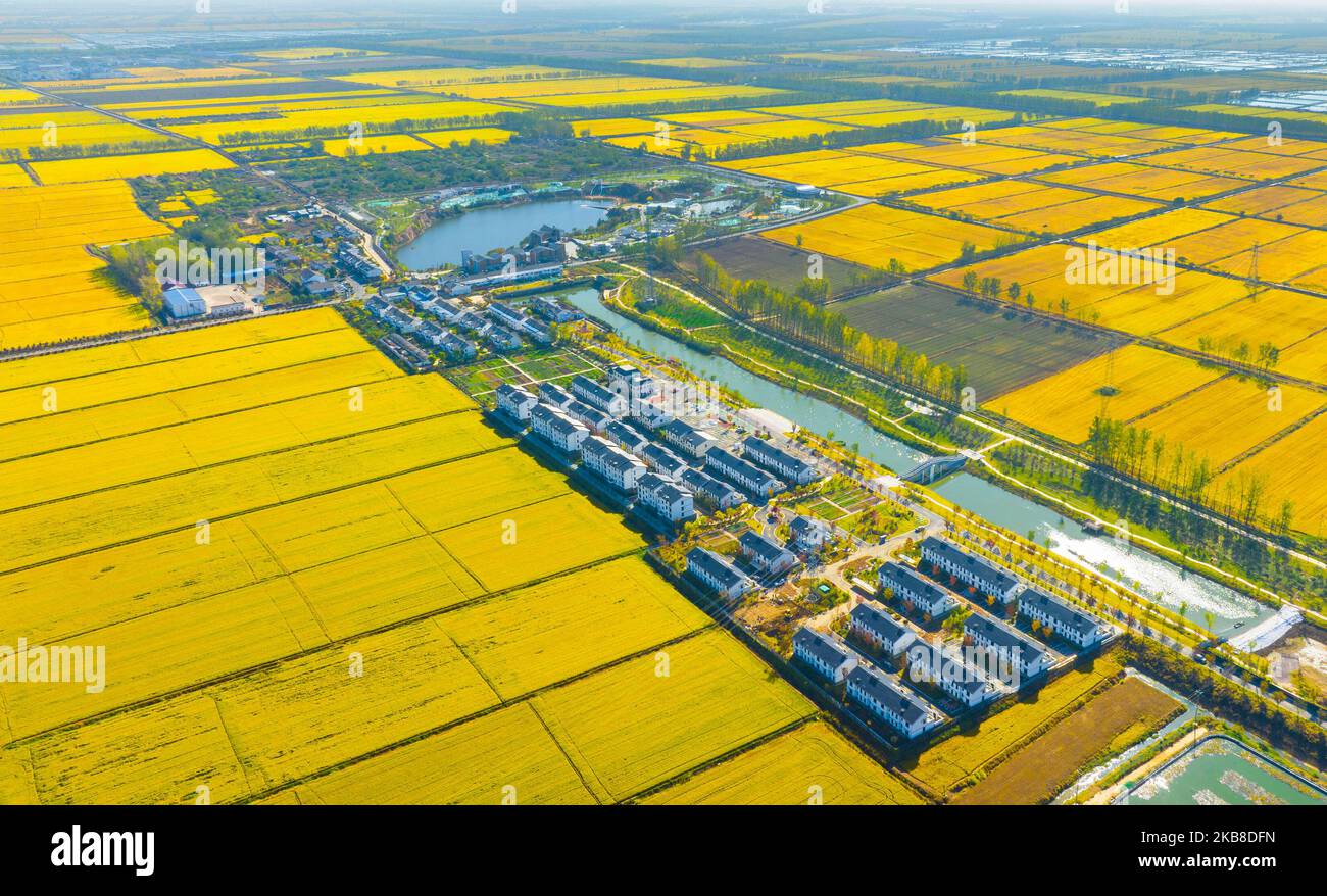 SUQIAN, CHINA - NOVEMBER 2, 2022 - Aerial photo shows rows of brand-new ...