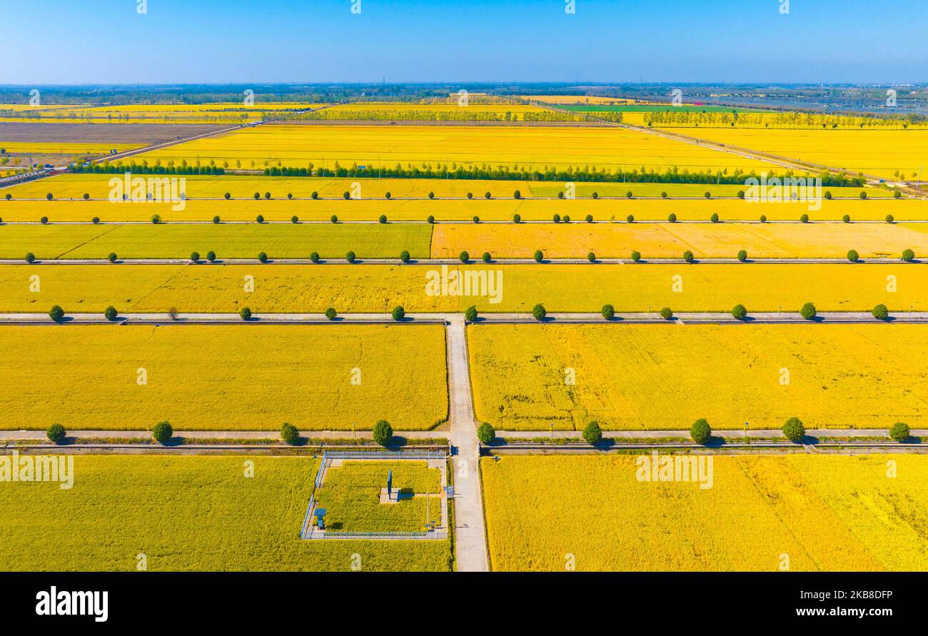 SUQIAN, CHINA - NOVEMBER 2, 2022 - Aerial photo shows rows of brand-new ...