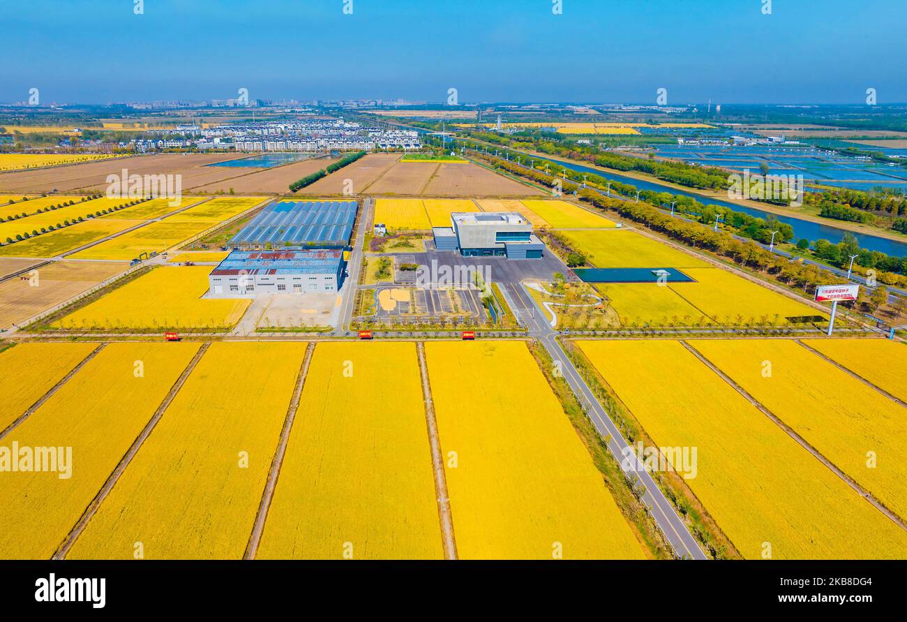 SUQIAN, CHINA - NOVEMBER 2, 2022 - Aerial photo shows rows of brand-new ...