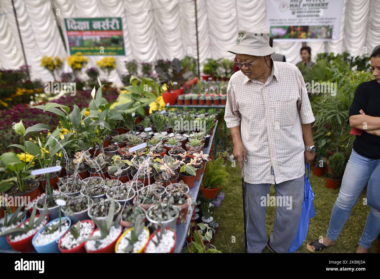 Floral expo in nepal hi-res stock photography and images - Alamy