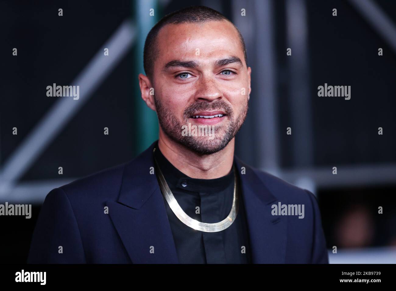 HOLLYWOOD, LOS ANGELES, CALIFORNIA, USA - OCTOBER 24: Actor Jesse ...