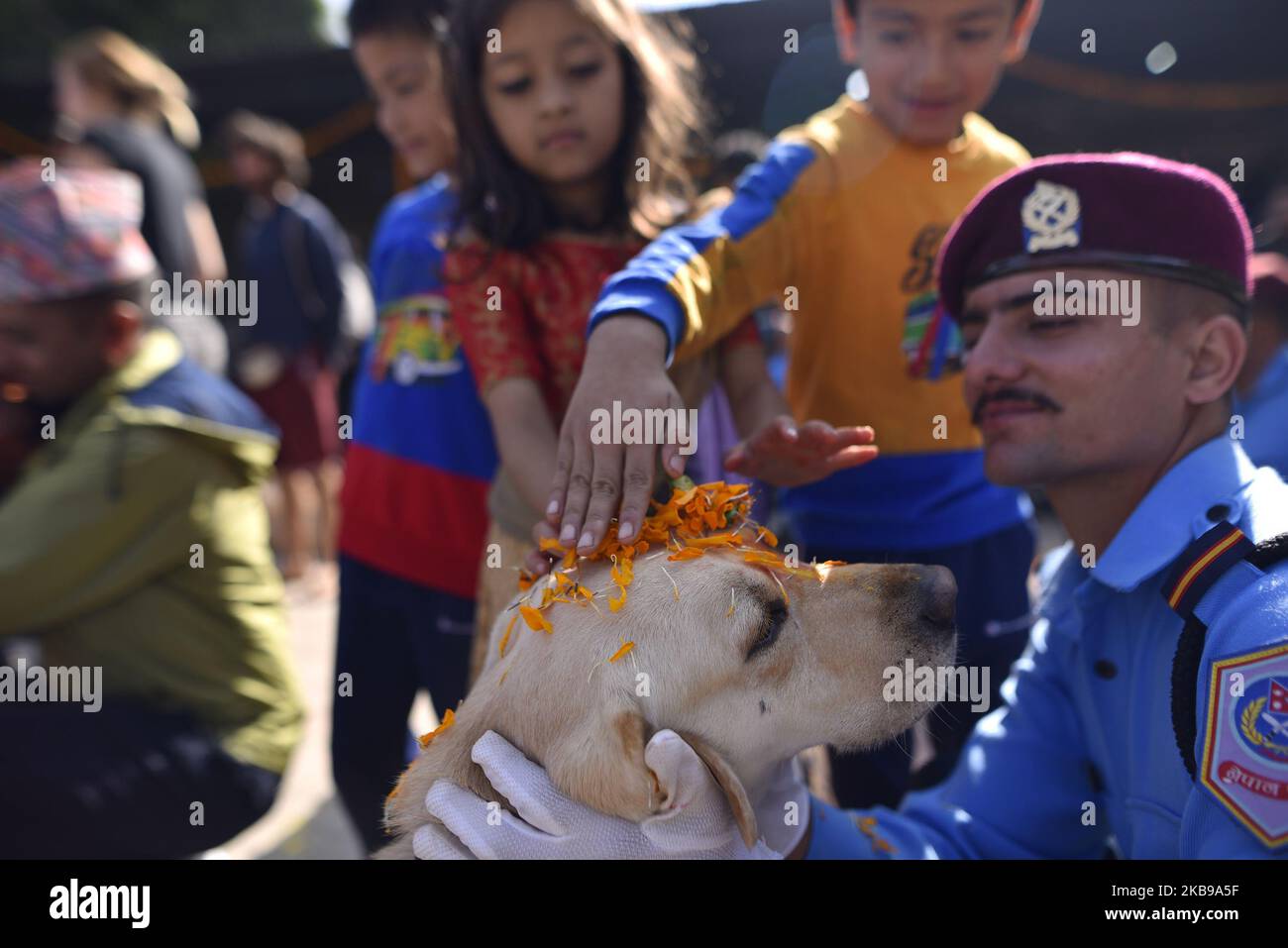 Little Kids bless Dog after performing puja on Kukur Tihar or Dog ...