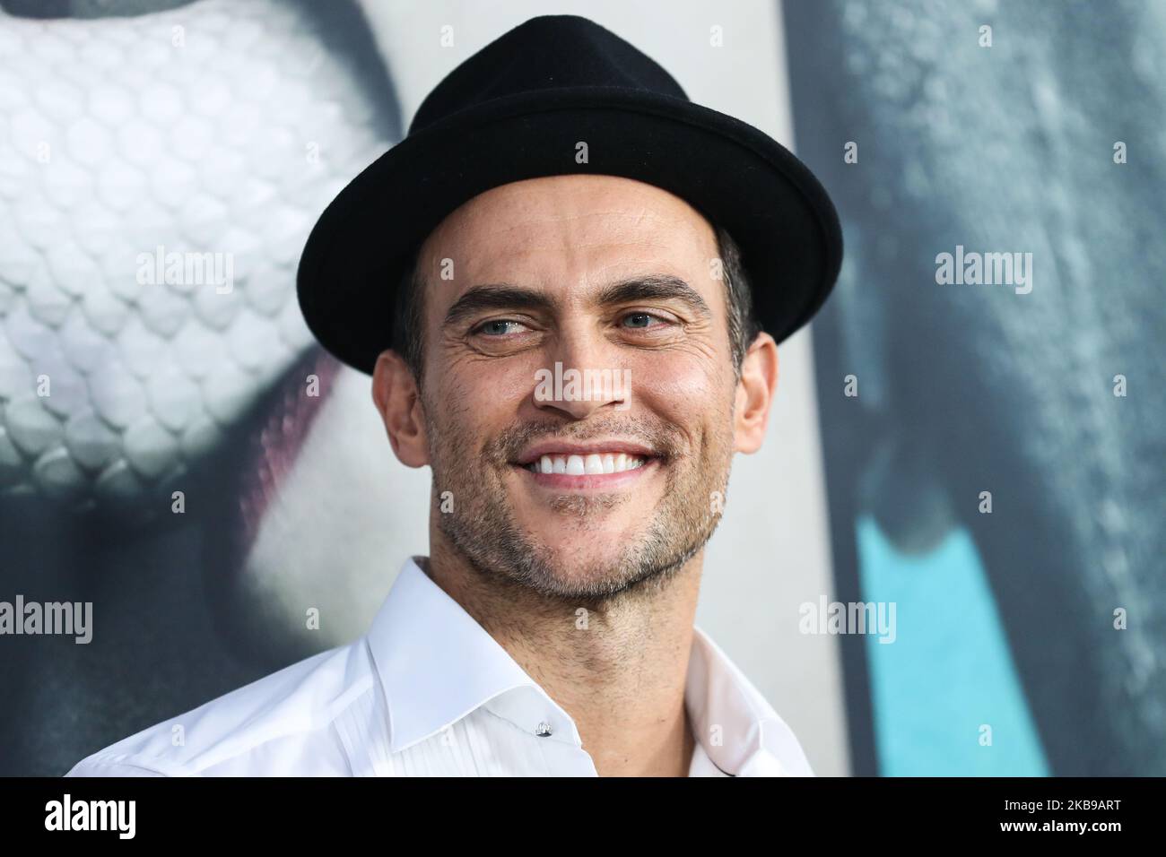 HOLLYWOOD, LOS ANGELES, CALIFORNIA, USA - OCTOBER 26: Actor Cheyenne ...