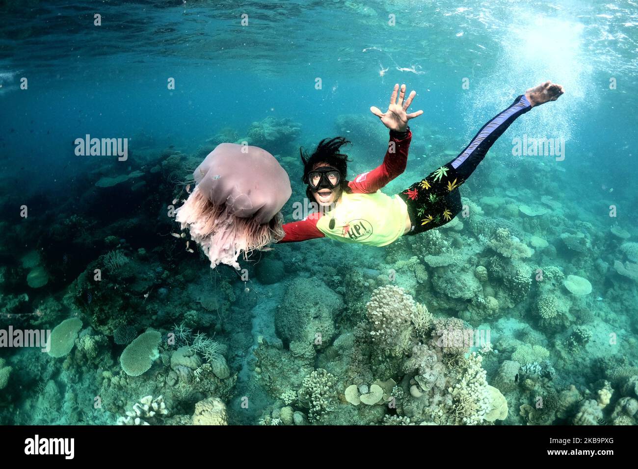 Tourists diving over Coral Reef, at Karimunjawa, a popular beach and ...