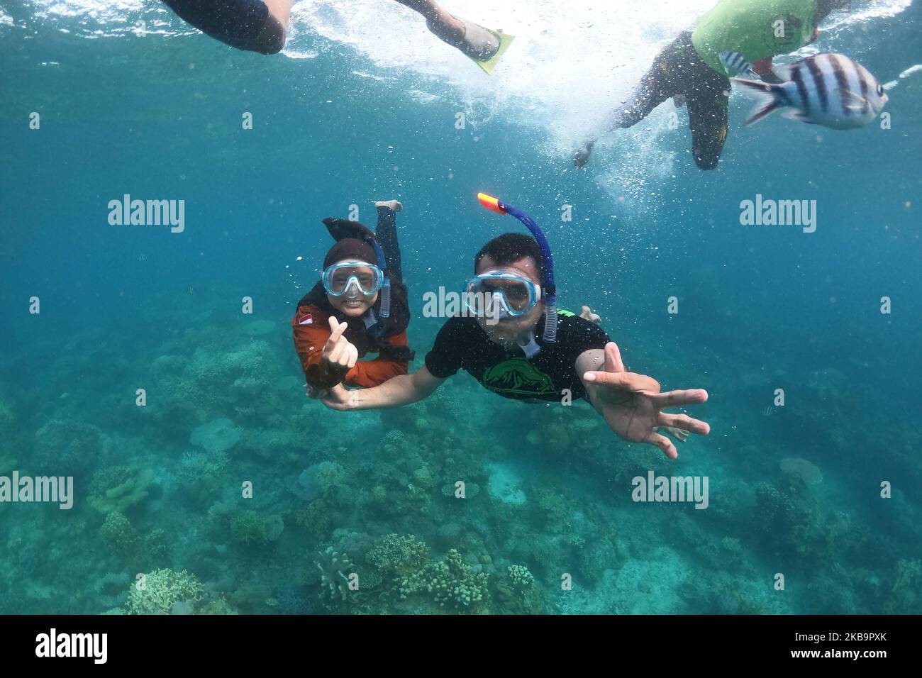 Tourists diving over Coral Reef, at Karimunjawa, a popular beach and ...