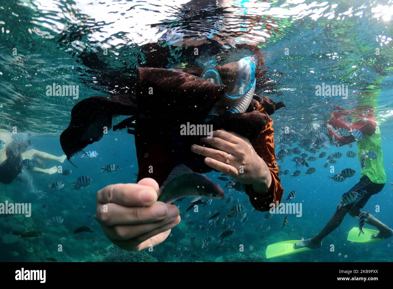 Tourists diving over Coral Reef, at Karimunjawa, a popular beach and ...
