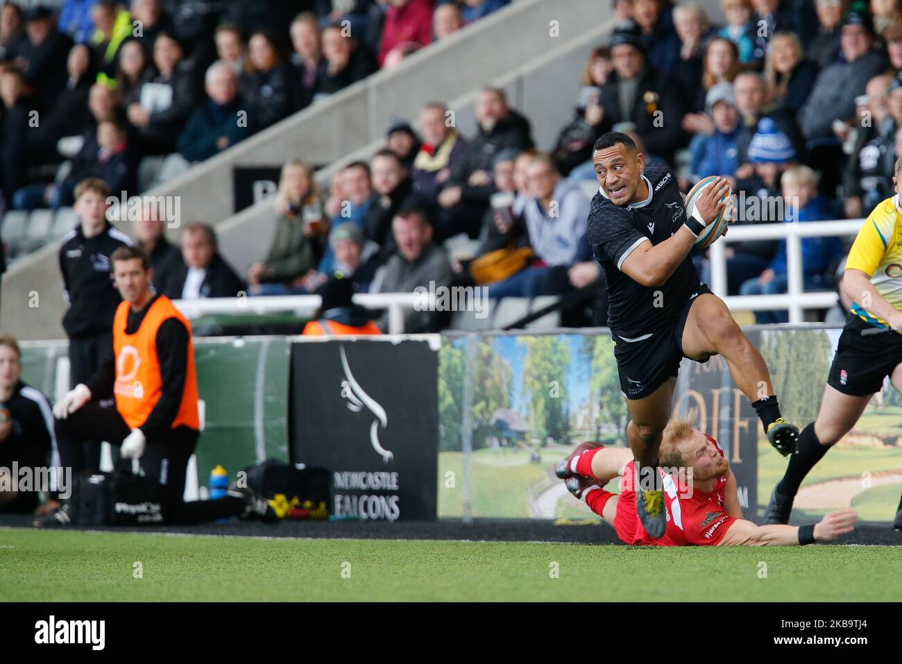 Kingston park stadium newcastle hi-res stock photography and images - Alamy