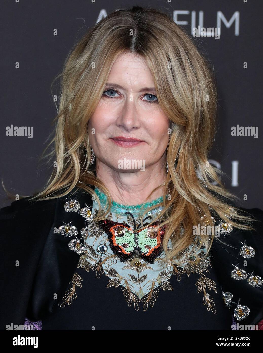 LOS ANGELES, CALIFORNIA, USA - NOVEMBER 02: Actress Laura Dern arrives ...