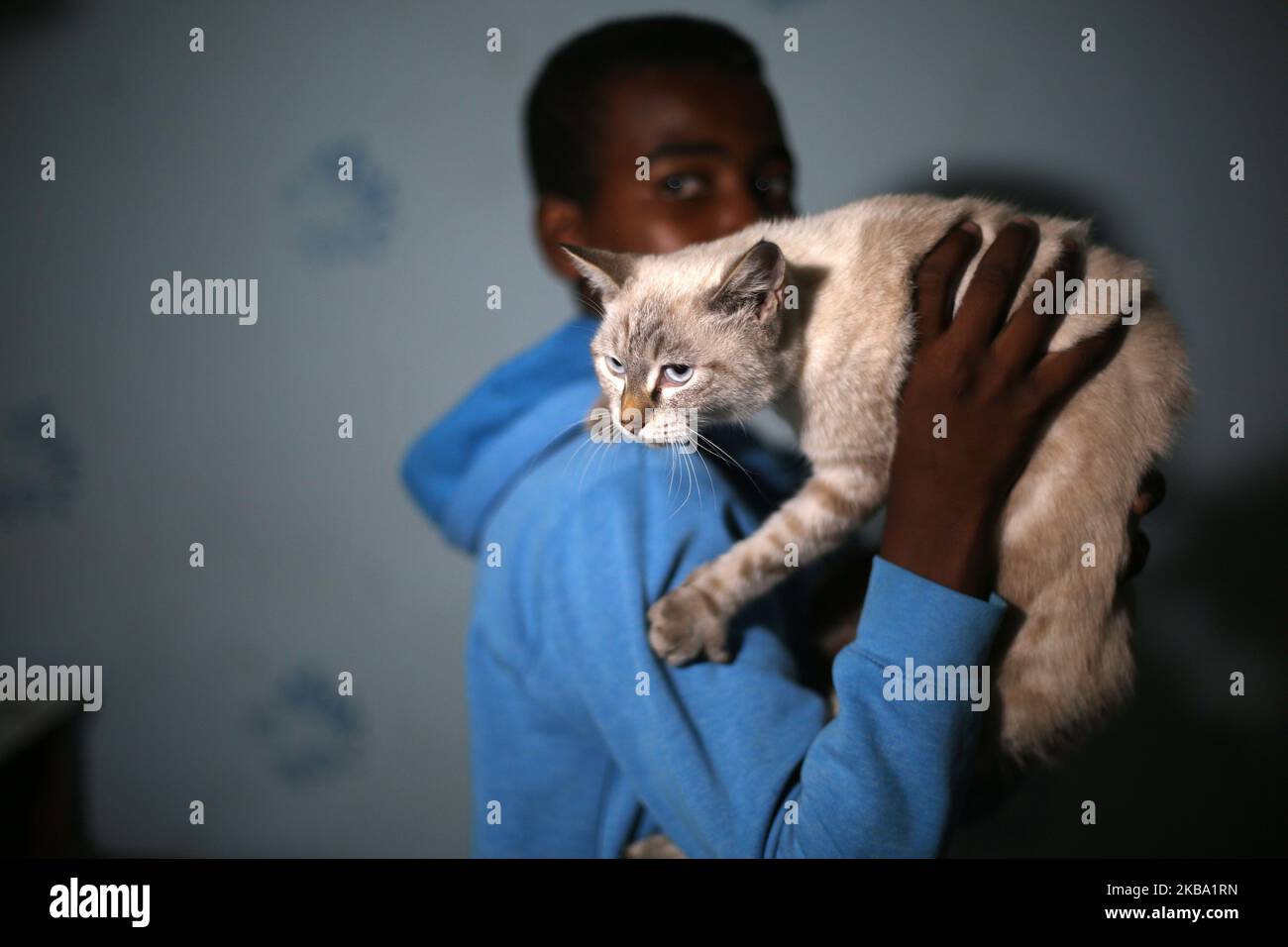 A boy carries a cat inside the house of a Palestinian man Saeed el-Aer ...