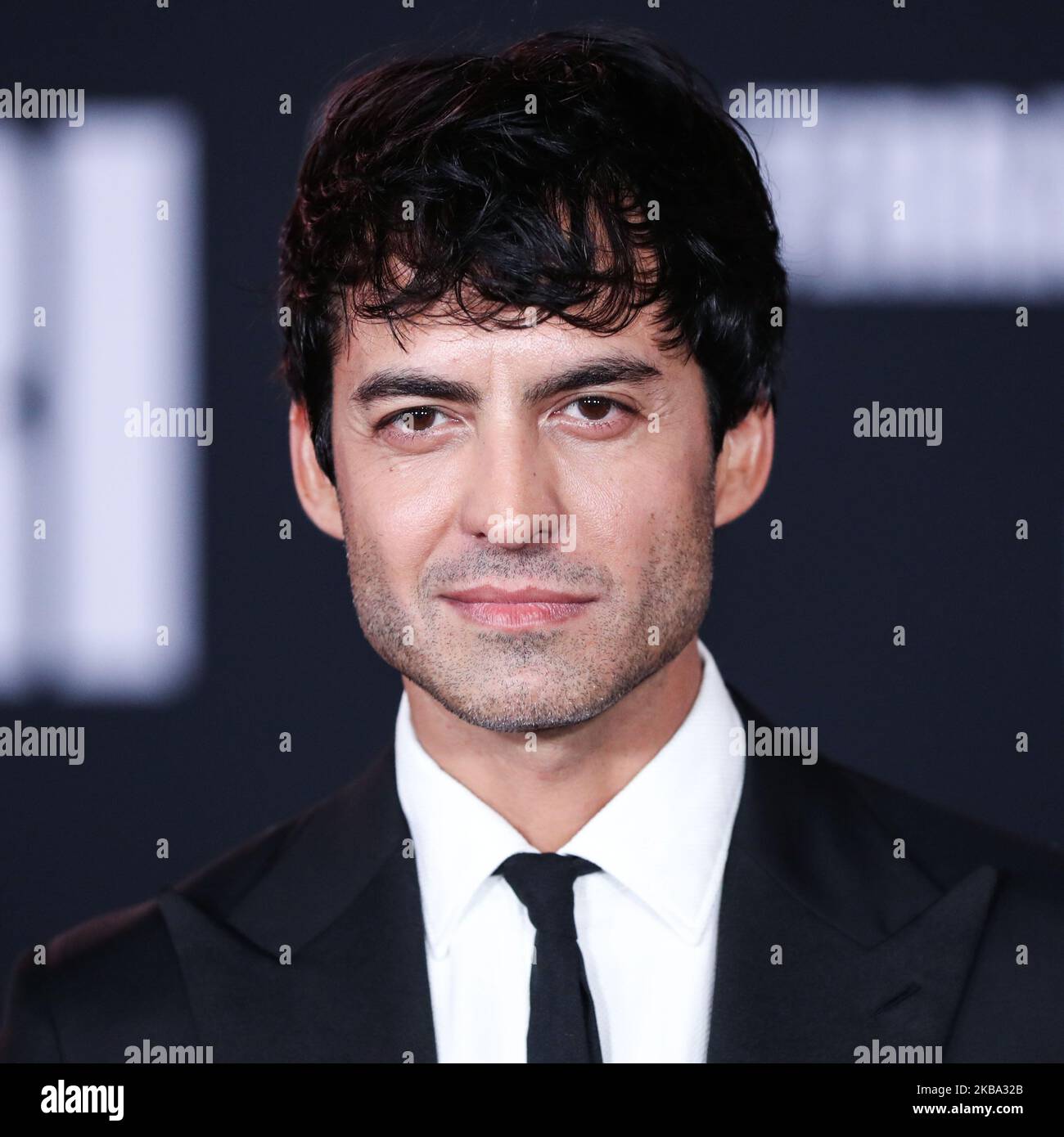 HOLLYWOOD, LOS ANGELES, CALIFORNIA, USA - NOVEMBER 04: Actor Francesco ...