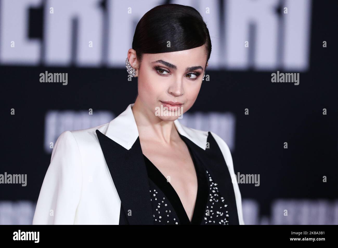 HOLLYWOOD, LOS ANGELES, CALIFORNIA, USA - NOVEMBER 04: Actress Sofia ...
