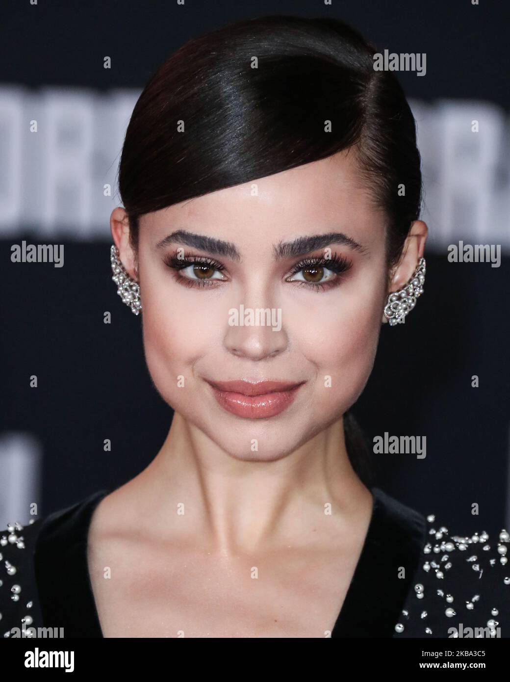 HOLLYWOOD, LOS ANGELES, CALIFORNIA, USA - NOVEMBER 04: Actress Sofia ...