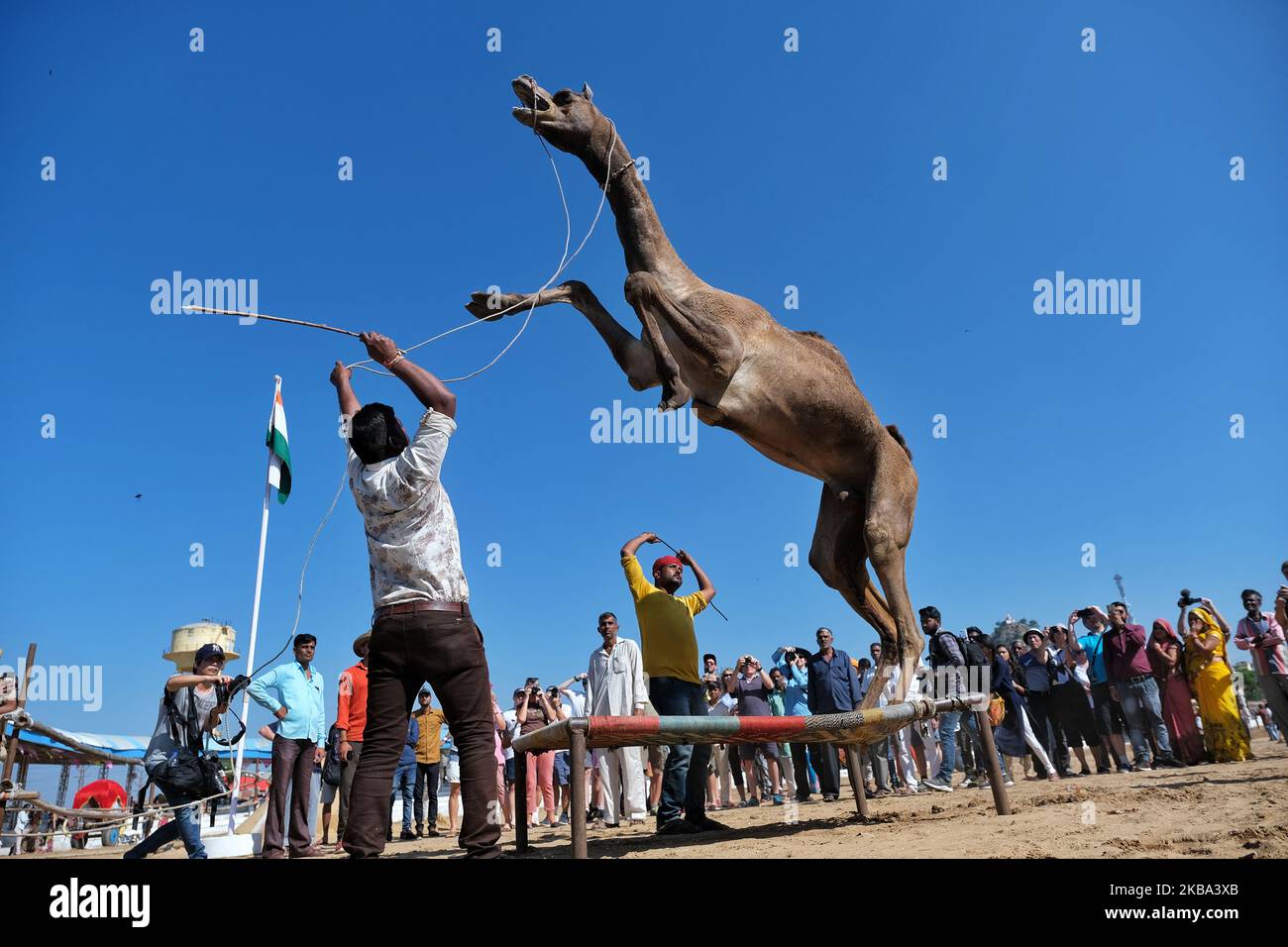 Worlds largest camel fairs hi-res stock photography and images - Alamy